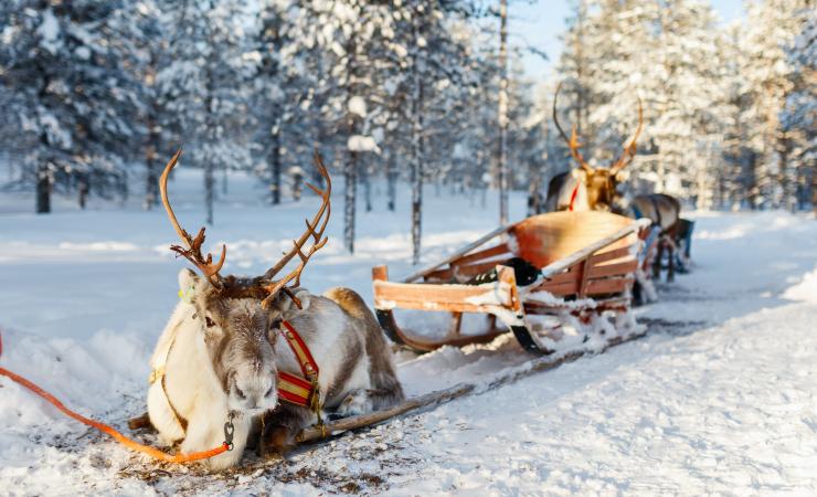 Laponsko pre deti - cesta za Santa Clausom - poznávací zájazd | CK SATUR